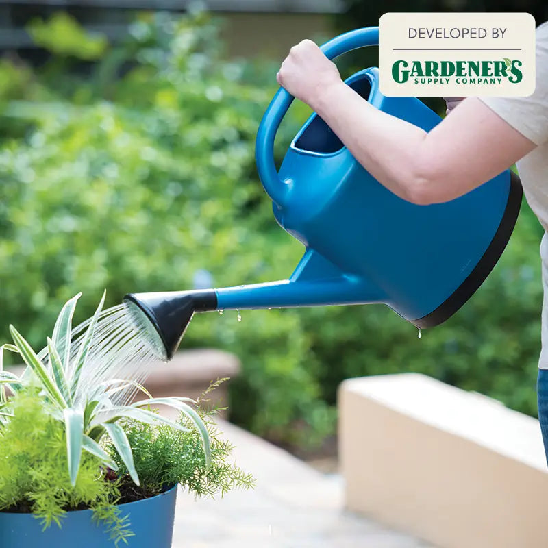 French Blue Watering Can - Spring Hill Nurseries