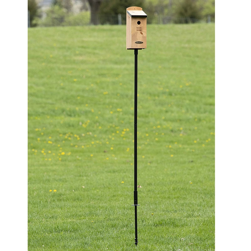 Ground Anchored Steel Pole | Gardening - Birding | Spring Hill