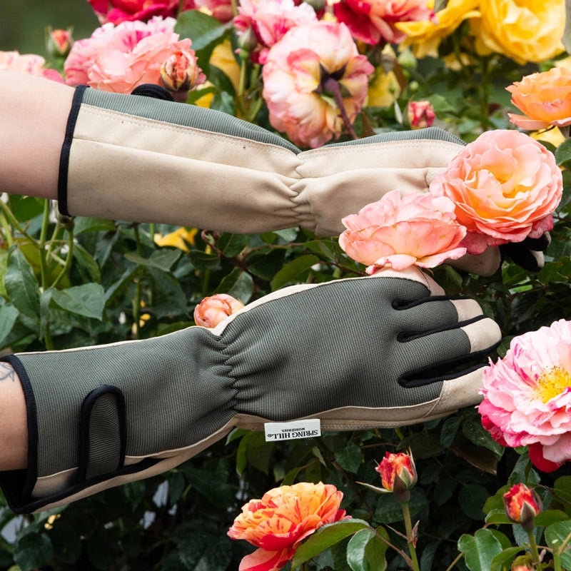 Spring Hill Gauntlet Gloves | Garden Tools | Spring Hill